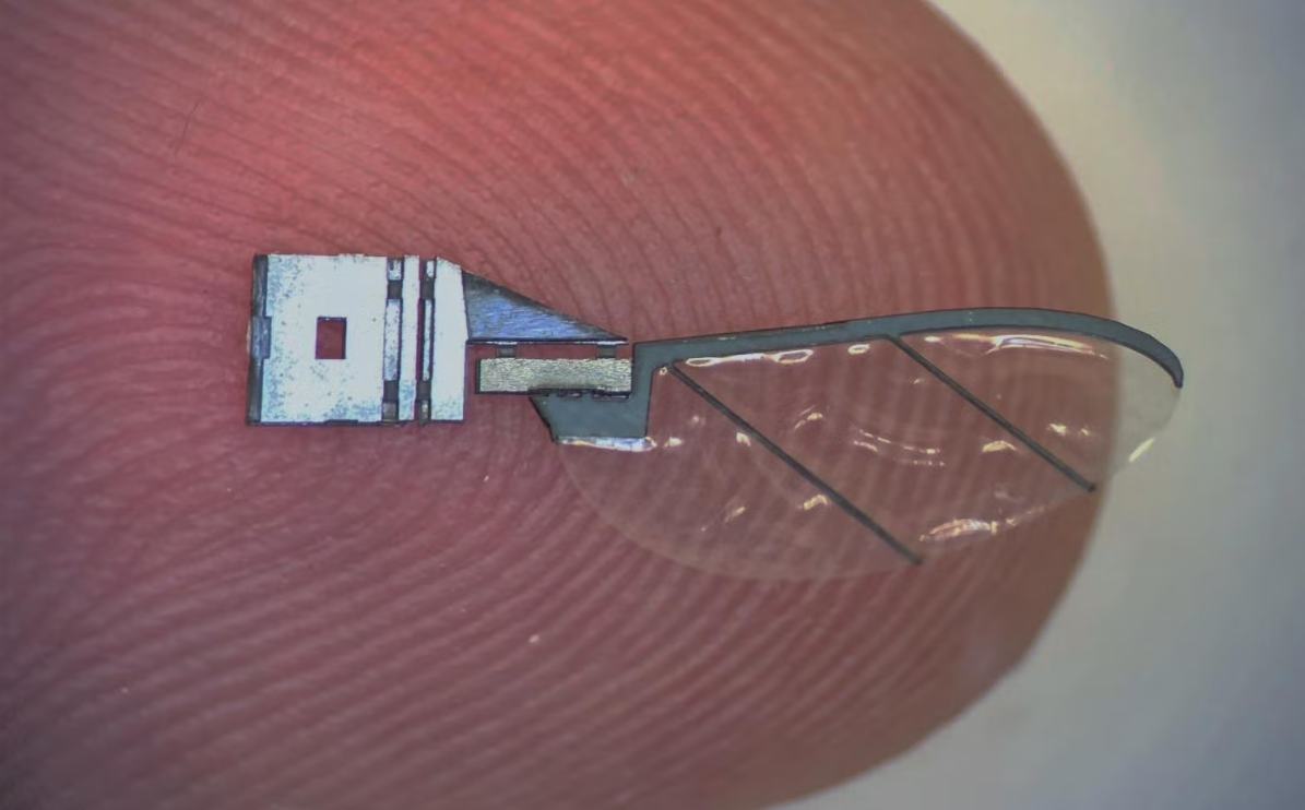 Nitinol Living Hinges – Insect Inspired Intelligence Lab (III)